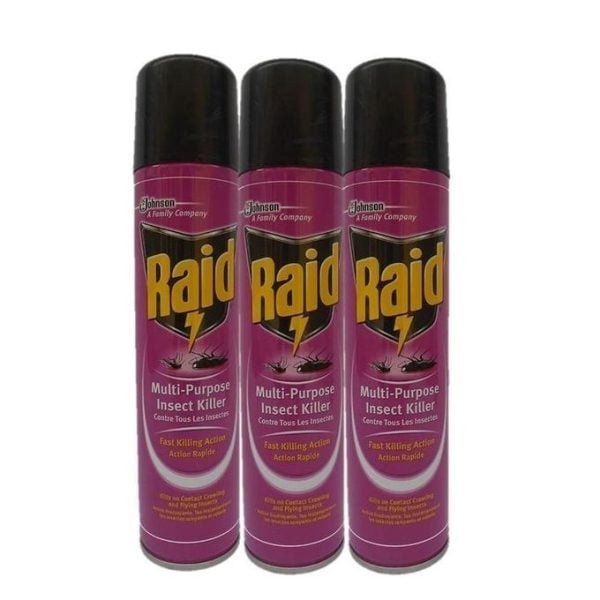 Raid Multi-Purpose Insect Killer - 300ml (24 per pack) - NeatStore.NG